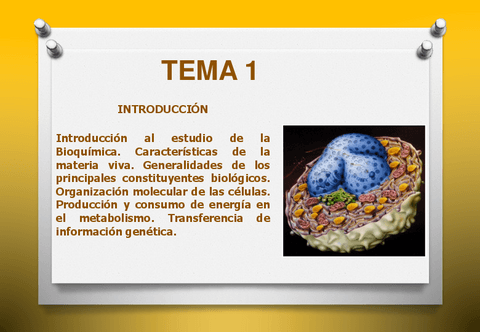 Presentación que usa la profesora -T.1.pdf