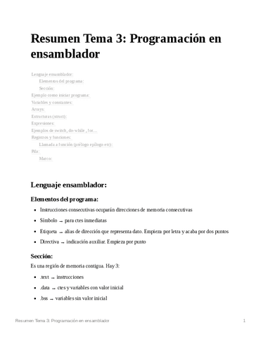 FC2-Resumen-TEMA-3-con-EJEMPLOS-Y-TRUCOS-programacion-en-ensamblador.pdf