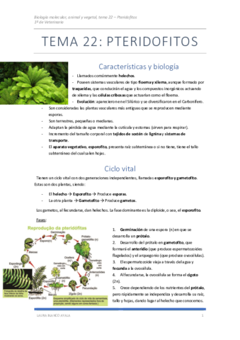 Tema 22 - Pteridofitos.pdf