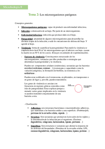 Tema-2-Micro-II.pdf