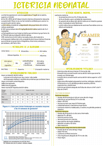 Ictericia-Neonatal.pdf