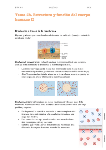 Tema-2b.-EYFCH-II.pdf