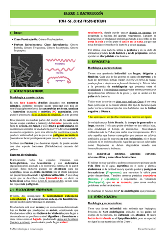 TEMA-56.pdf