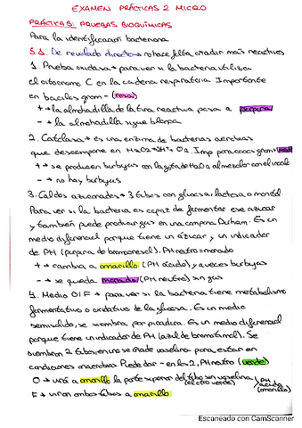 Resumen-practicas-2o-cuatri.pdf