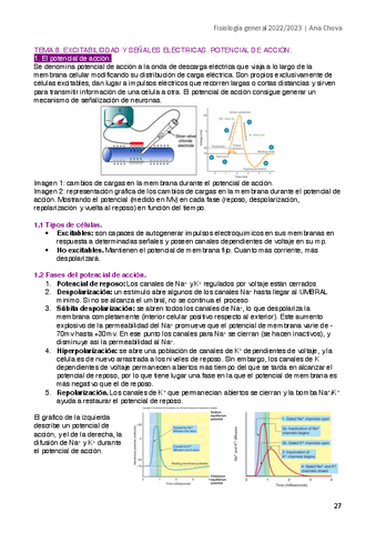 Fisio-T8.pdf