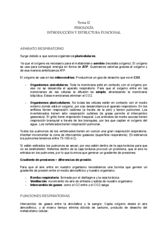Tema 12 Pdf