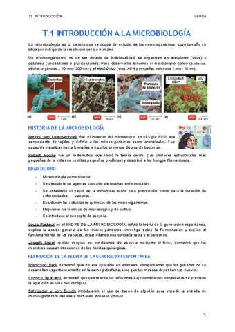 T1.-introduccion-2.pdf