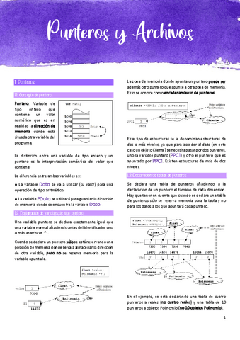 Tema 1. Punteros y Archivos.pdf