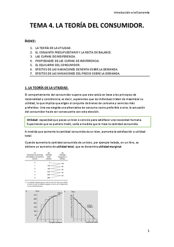 Tema 4 INTRO ECO.pdf