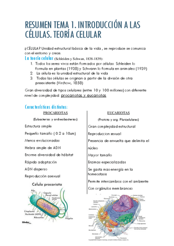 Resumen-Tema-1-Introduccion.pdf