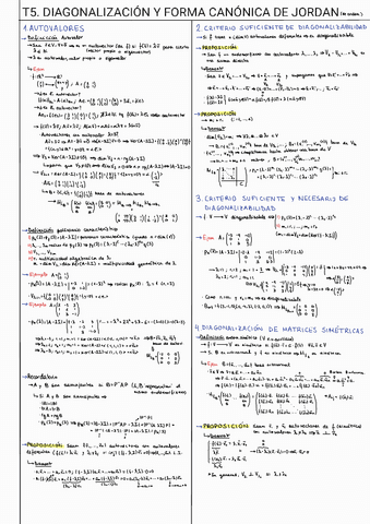 T5-DIAGONALIZACIÓN Y FORMA CANÓNICA DE JORDAN.pdf