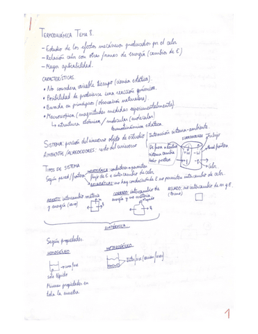TERMODINAMICA-TEMA8.pdf