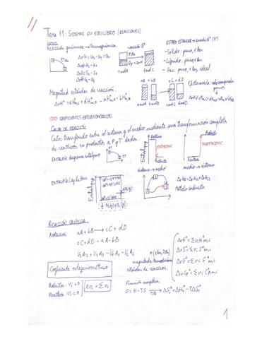 TERMODINAMICA-TEMA11.pdf