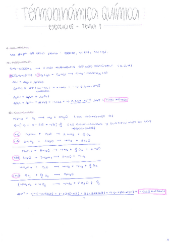 TEMA-8-TERMODINAMICA-2o-y-3o-Principio.pdf