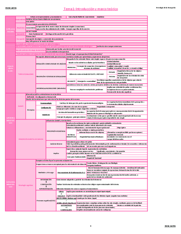 TEMA-1-PERCEPCION-ESQUEMA.pdf