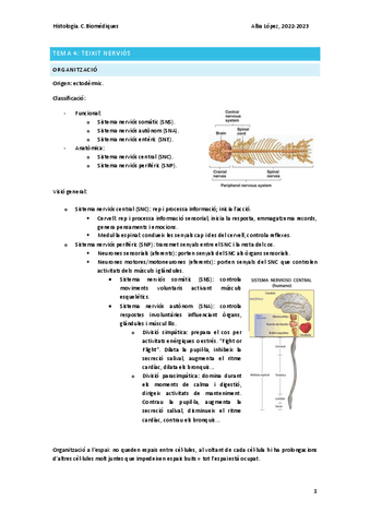 Tema-4.-Teixit-nervios.pdf