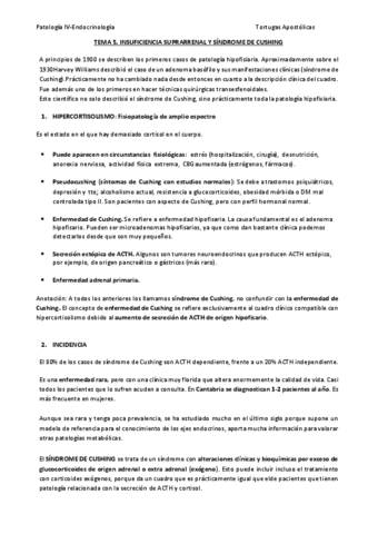 Apuntes de Intensificacion en Modelizacion arquitectonica