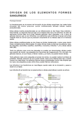ORIGEN-DE-LOS-ELEMENTOS-FORMES-SANGUINEOS-T13-Fisiologia-General.pdf
