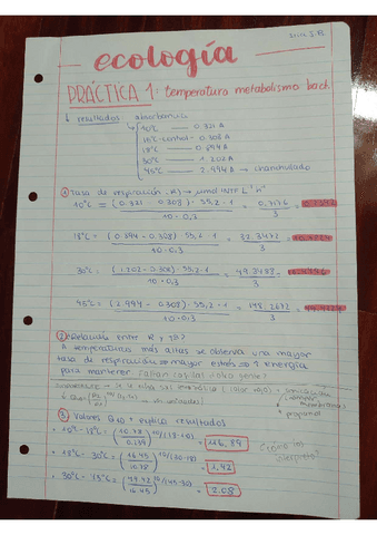 TEORIA-EJERCICIOS-FORMULAS-PRACTICAS-ECO-I.pdf