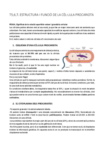 TEMA-5-6-7-micro.pdf