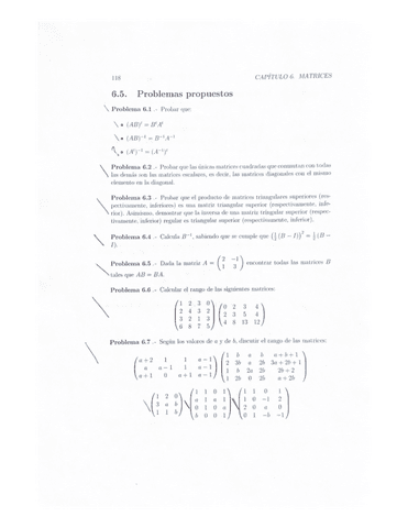 Problemas-CAPITULO-6.-MATRICES.pdf