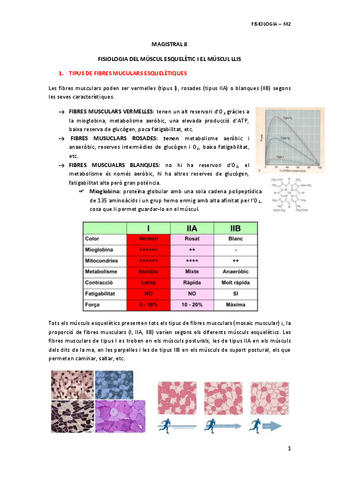 MAGISTRAL-8-FISIOLOGIA-DEL-MUSCUL-ESQUELETIC-I-LLIS.pdf