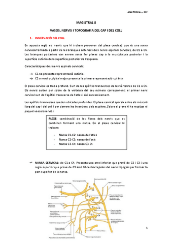 MAGISTRAL-8-VASOS-NERVIS-I-TOPOGRAFIA-DEL-CAP-I-DEL-COLL.pdf
