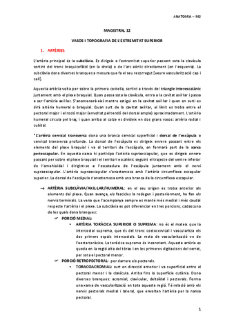 MAGISTRAL-12-VASOS-I-TOPOGRAFIA-DE-EESS.pdf