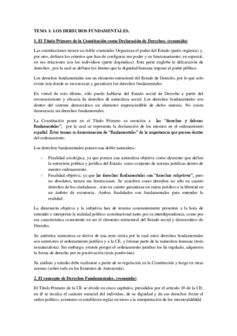 TEMA-6-CONSTI-III.pdf
