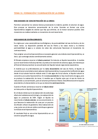 TEMA-31.pdf