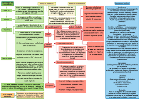 Mapa-Conceptual-t1.pdf