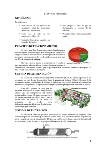 2. PLANTA DE NITRÓGENO .pdf