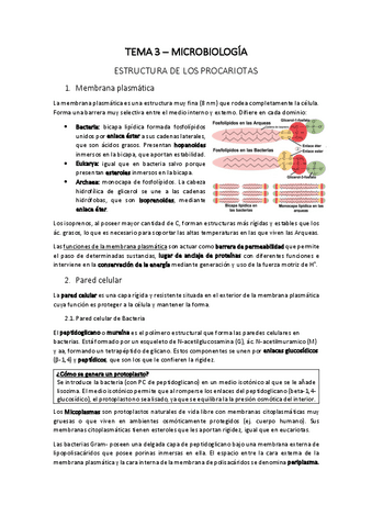 TEMA-3-MICRO.pdf