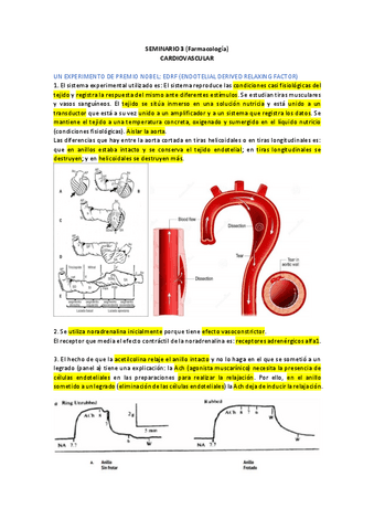 Respuestas-Seminario-3-FTA.pdf