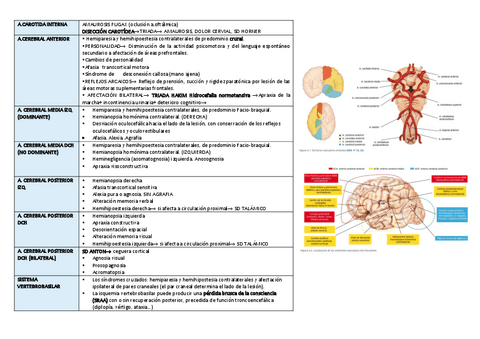 ictus-esquema.pdf