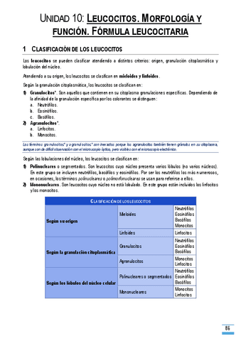 Unidad-10.pdf