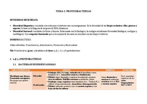 Resumen-y-tablas-micro-II-tema-2.pdf