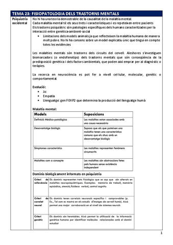 FP-Tema23mental.pdf