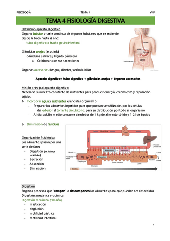 Tema-4-Fisiologia-digestiva.pdf