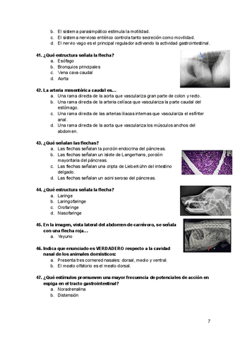 Sistemas-1-preguntas-7-18.pdf
