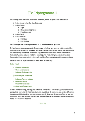 Tema-3-Criptogramas-1.pdf