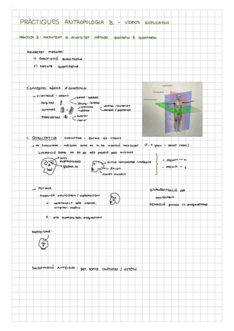 TOT-videos-Practiques-Antropo-2-4.pdf