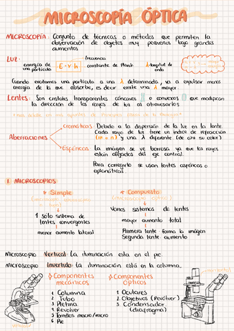 Tema-2-PIM BIOCEL.pdf