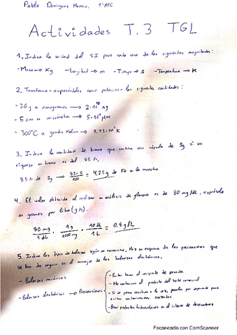 Mapa-conceptual-Tema-4-TGL.pdf