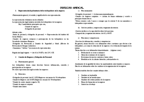 DERECHO-SINDICAL-ESQUEMAS.pdf