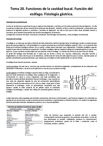 RESUMEN-Tema-20.-Funciones-de-la-cavidad-bucal.-Funcion-del-esofago ...