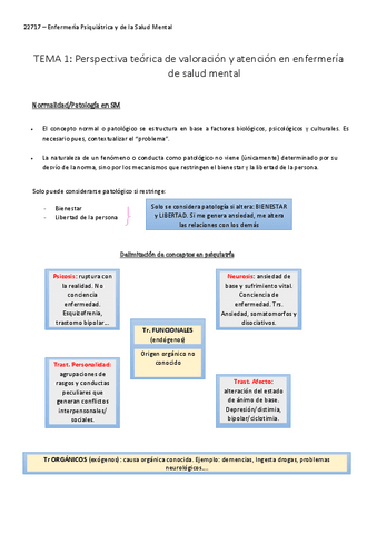 TEMA-1.-Salud-Mental.pdf