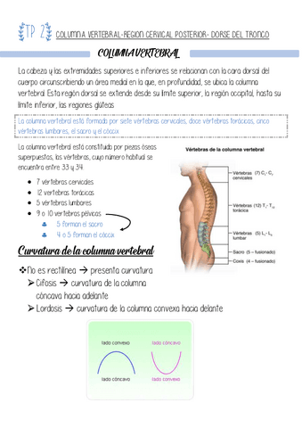 tp-2-dorso-terminado.pdf