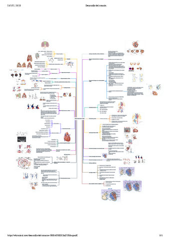 Desarrollo-del-corazon.pdf