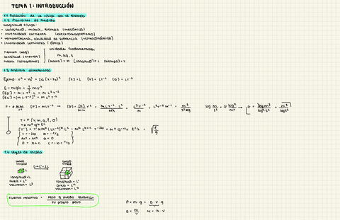 Tema-1-Analisis-Dimensional-Y-Unidades-Leyes-De-Escala.pdf